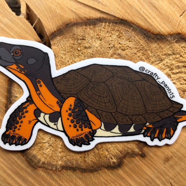 Wood Turtle - Etsy