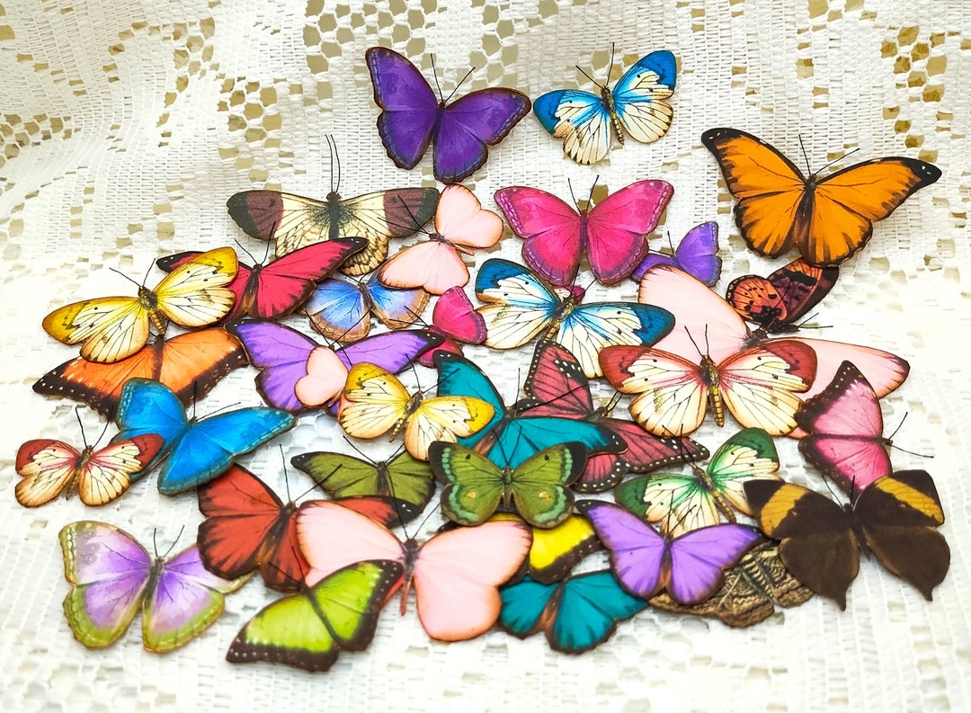 Butterfly Pre-cut Ephemera, Two-sided, Life-like, Package of 12 - Etsy