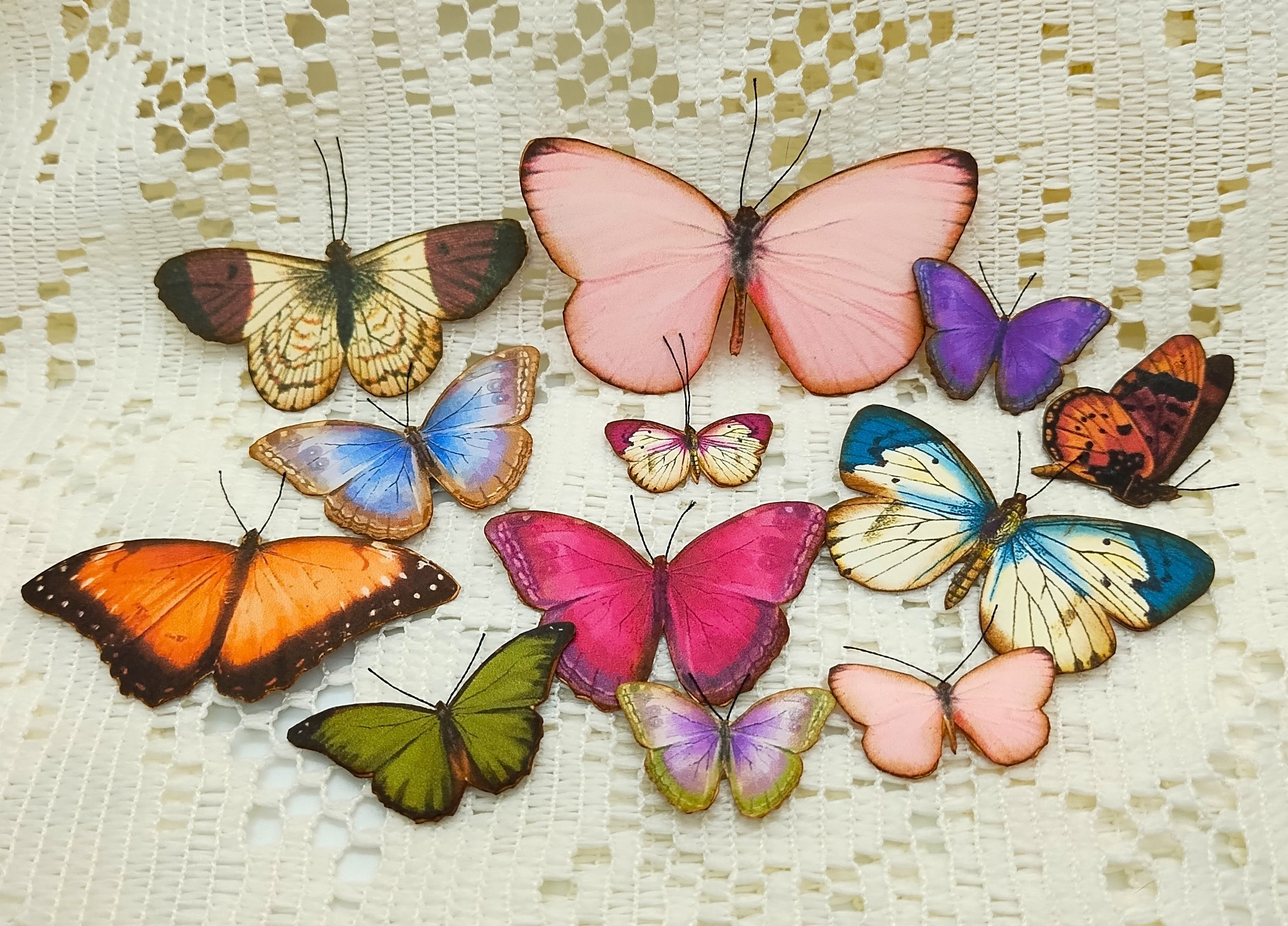Butterfly Pre-cut Ephemera, Two-sided, Life-like, Package of 12 - Etsy