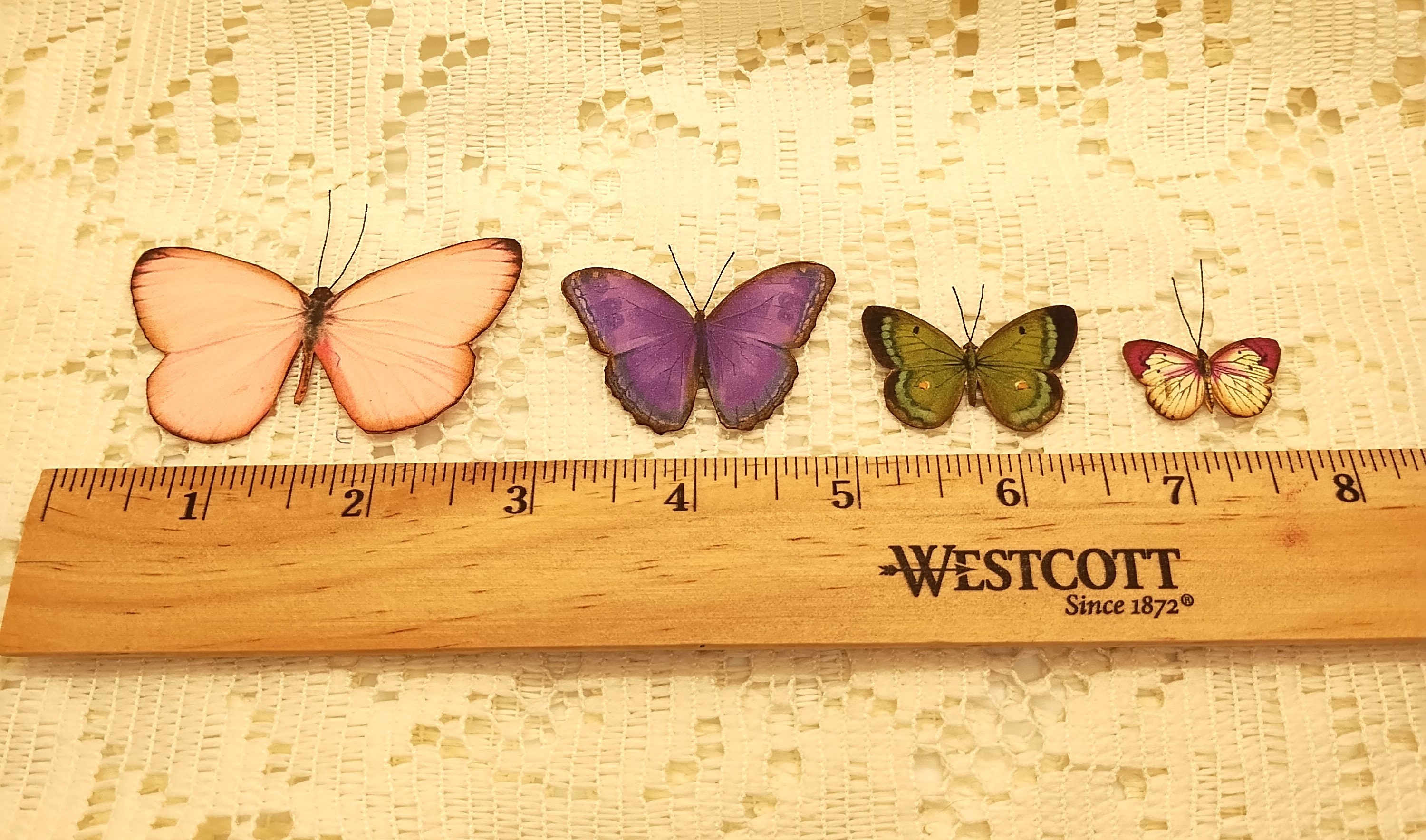 Butterfly Pre-cut Ephemera, Two-sided, Life-like, Package of 12 - Etsy