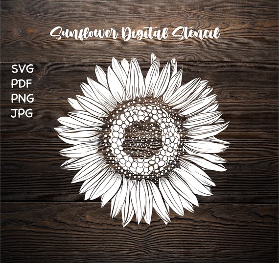 SVG/ Pdf/ Png/ JPG Sunflower Digital Stencil - Etsy