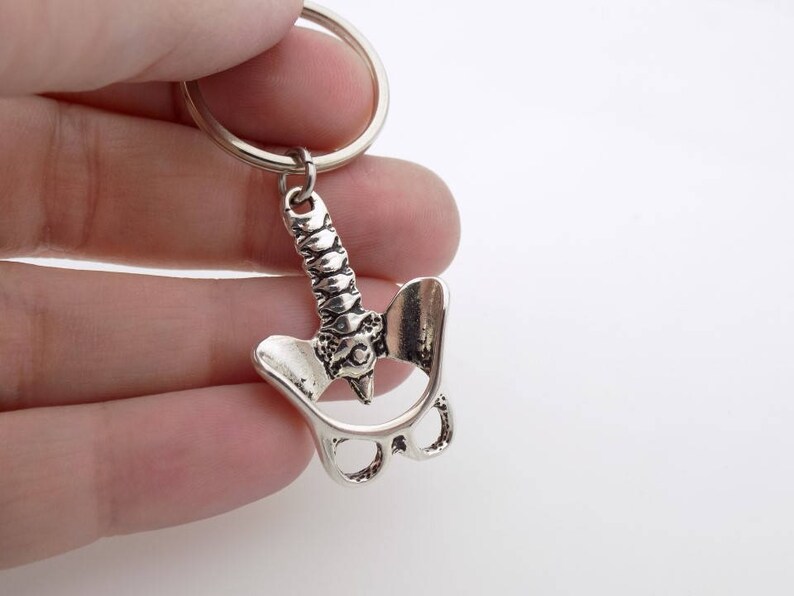 Spine Hip Pelvis or Lungs Anatomical Keychain Gift for Dr - Etsy
