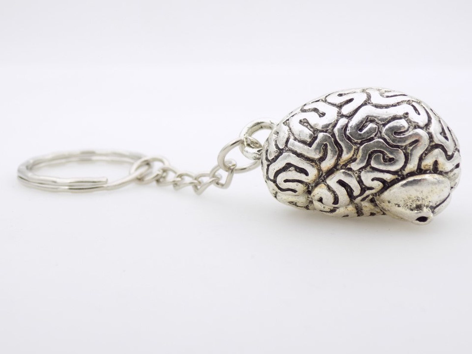 Anatomical Keychain Set Macabre Horror Halloween Zombie | Etsy