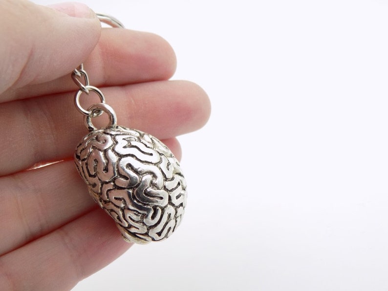 Anatomical Keychain Set Macabre Horror Halloween Zombie - Etsy