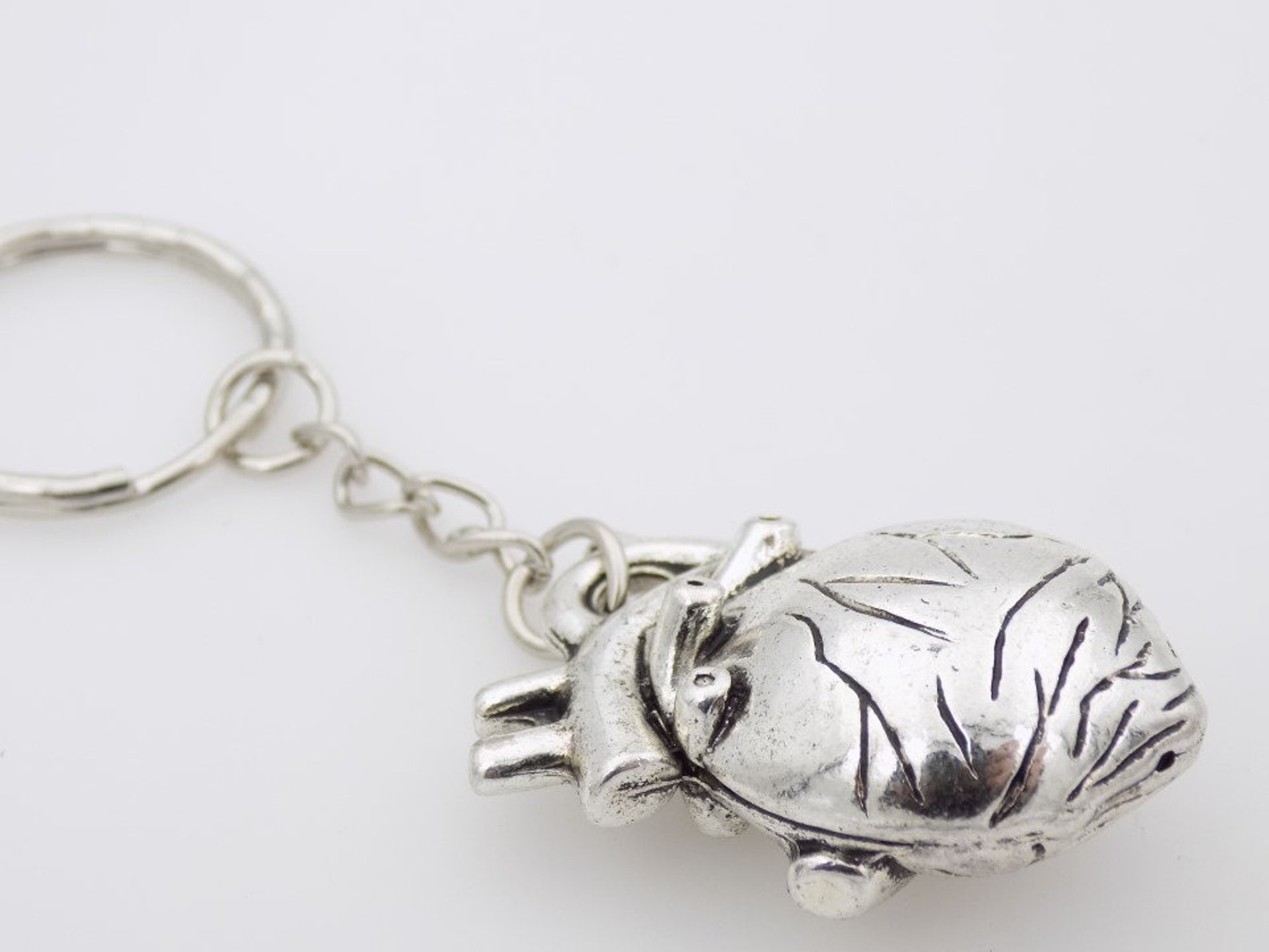 Anatomical Keychain Set Macabre Horror Halloween Zombie - Etsy