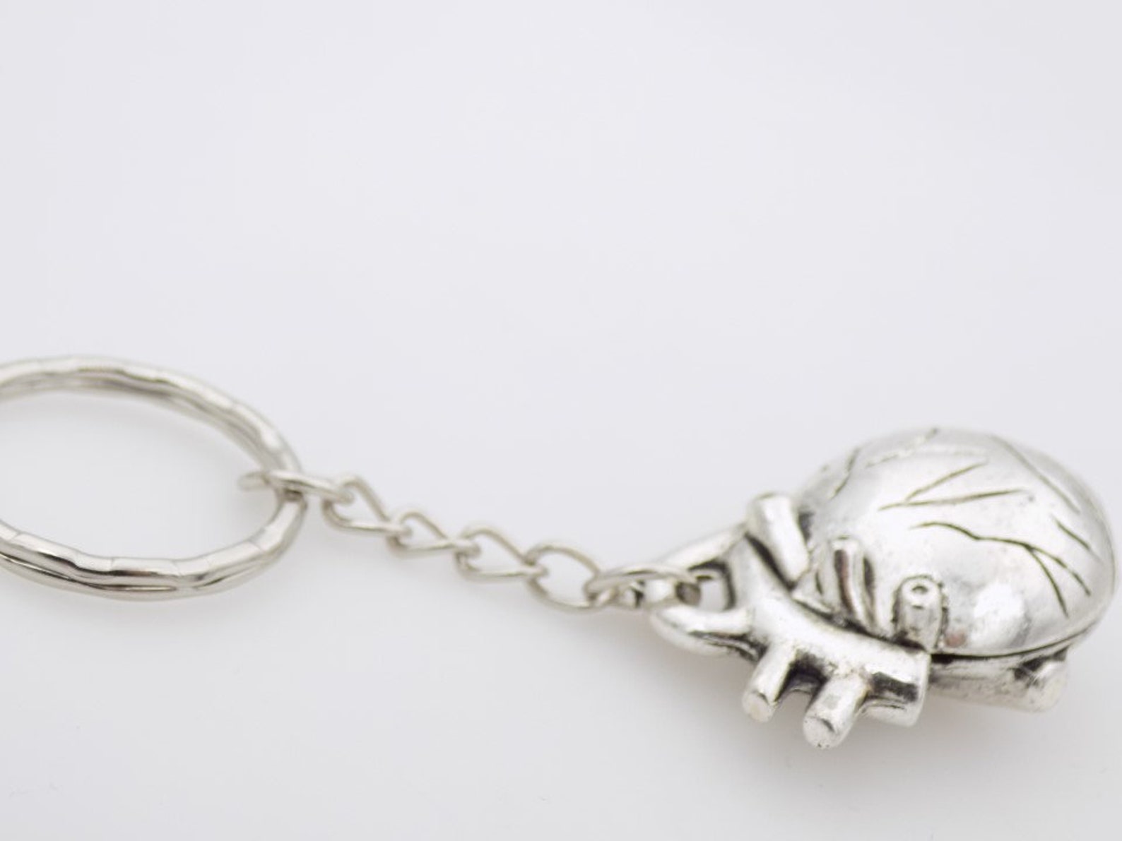 Anatomical Keychain Set Macabre Horror Halloween Zombie - Etsy