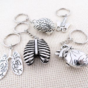 Anatomical Keychain Set, Macabre, Horror, Halloween, Zombie, Gift for ...
