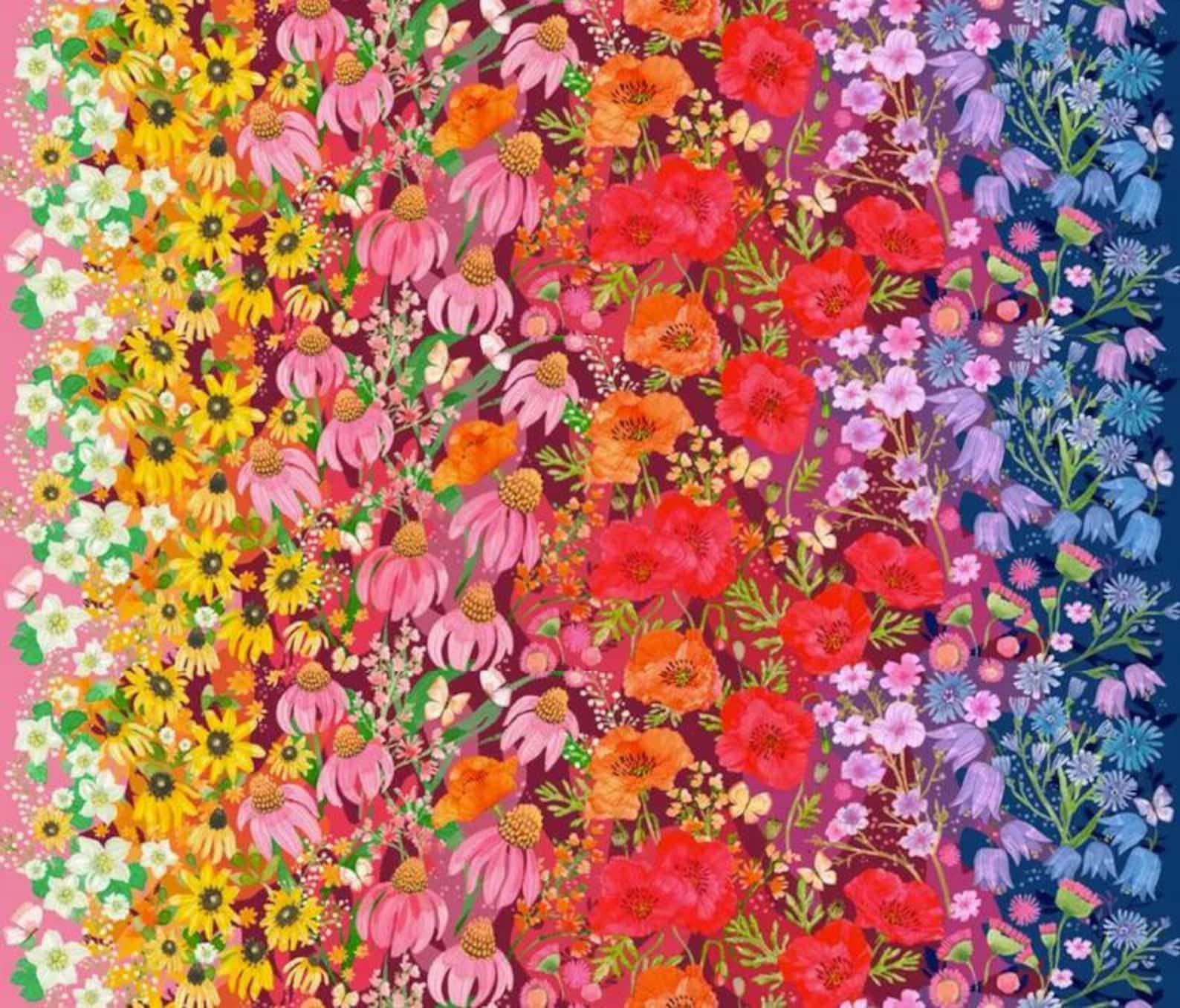 Robin Pickens Superbloom Rainbow Gradient Border Quilt Fabric for Moda ...