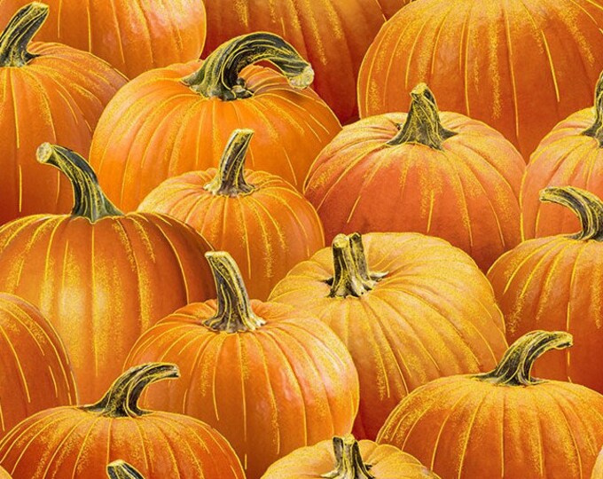Packed Pumpkin Patch, Metallic Stem, Pumpkin, Autumn Harvest, Fall ...