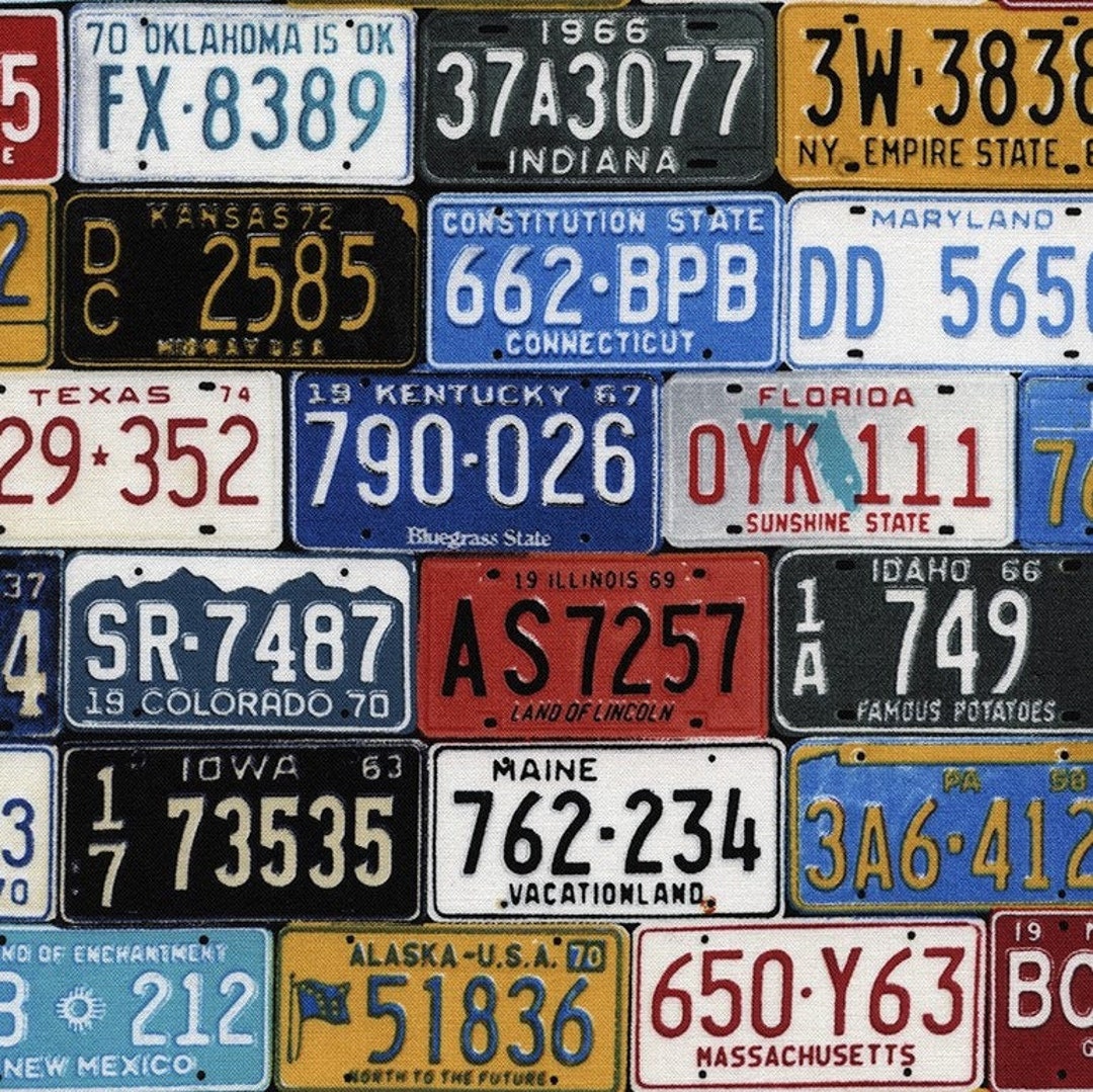 White and blue license plate store