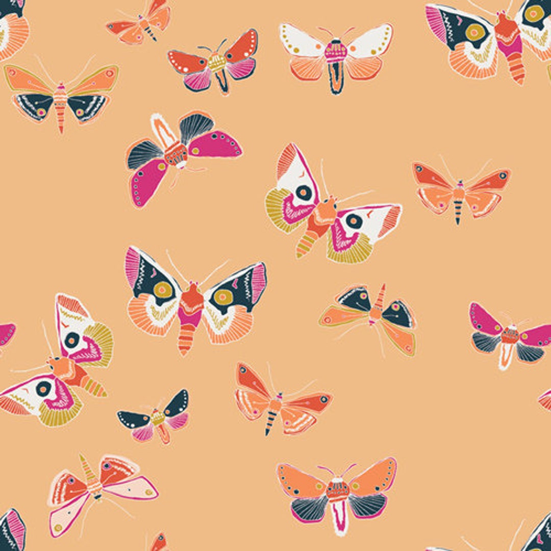 Odyssey Aurora Butterfly Moth Orange Melon Peach Lugu Etsy