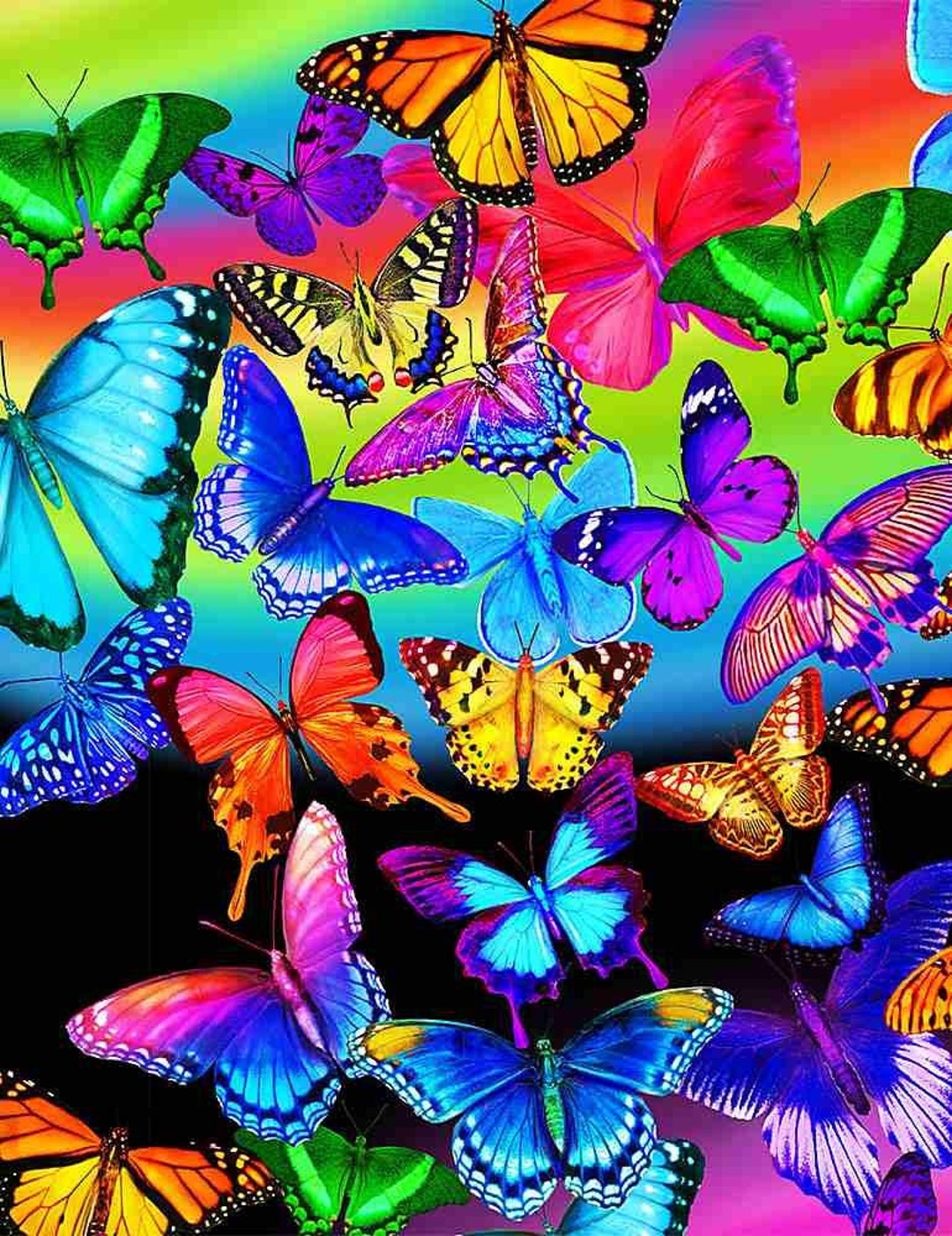 Rainbow Butterfly Flight, Colorful Butterfly's, Pink, Purple, Yellow ...