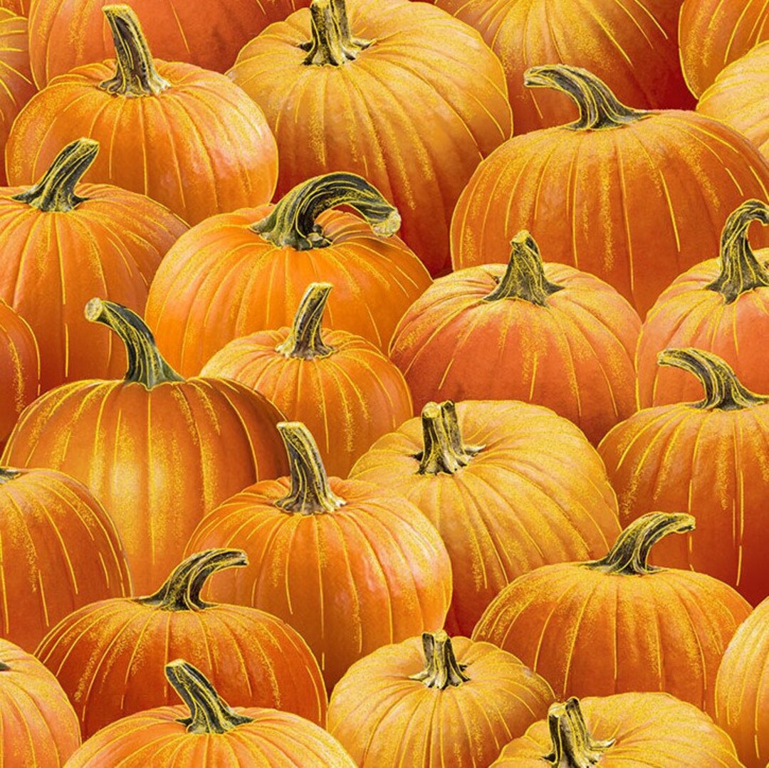 Packed Pumpkin Patch, Metallic Stem, Pumpkin, Autumn Harvest, Fall ...
