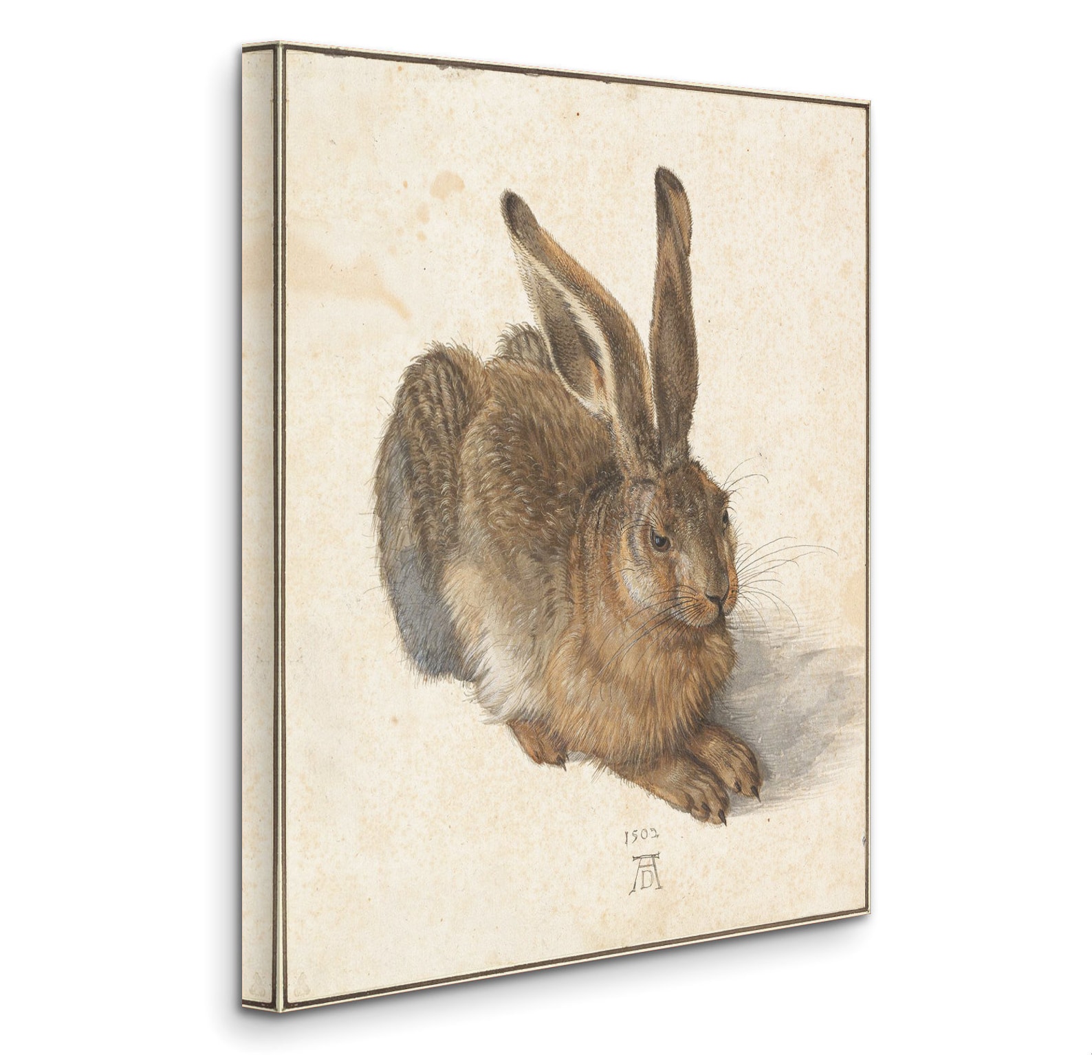 Albrecht Dürer Young Hare 1502 Hand Painted Museum Quality Rolled Oil ...