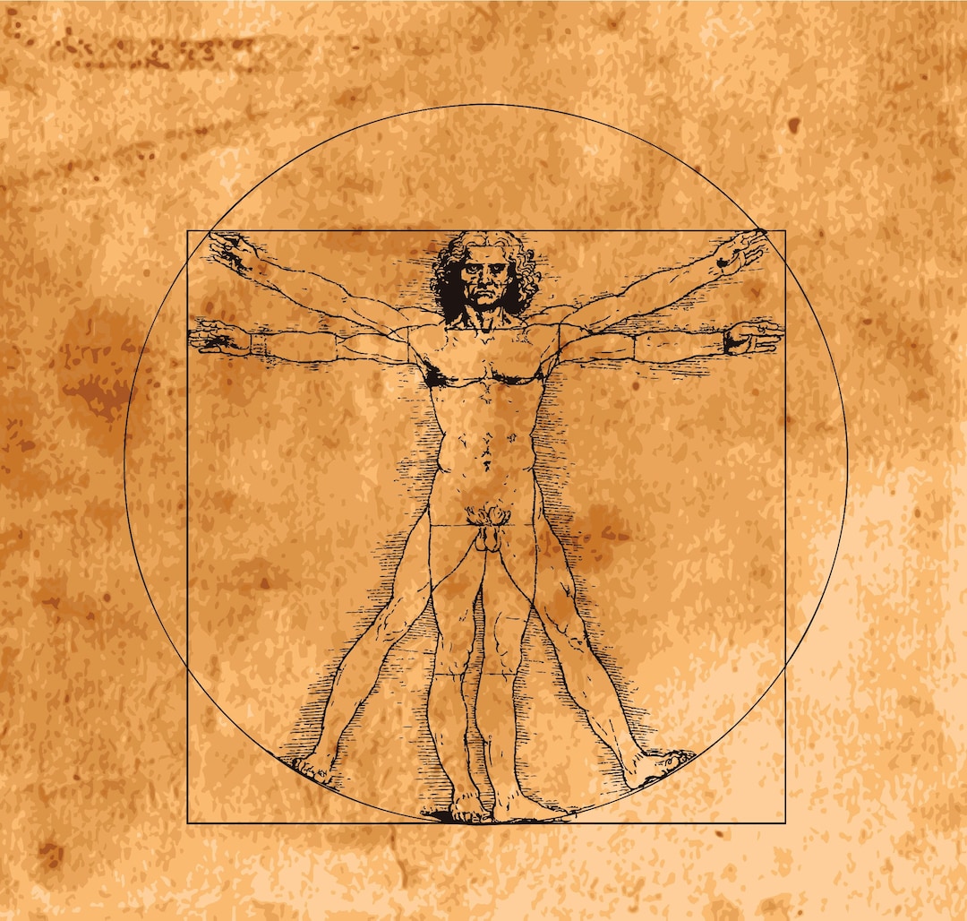 Leonardo Da Vinci the Vitruvian Man Rolled Oil Painting Museum Quality ...