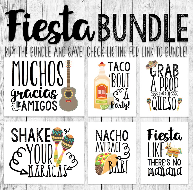 Fiesta Like There's No Manana/ Birthday Party Pinata Word - Etsy