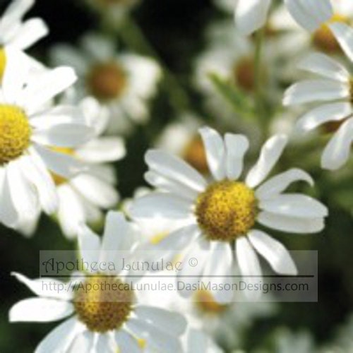 Custom Your Own Logo Wax Seal Box Set /wedding Gift Box Set | Etsy