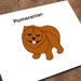 Pomeranian Stained Glass *PATTERN ONLY* - Etsy