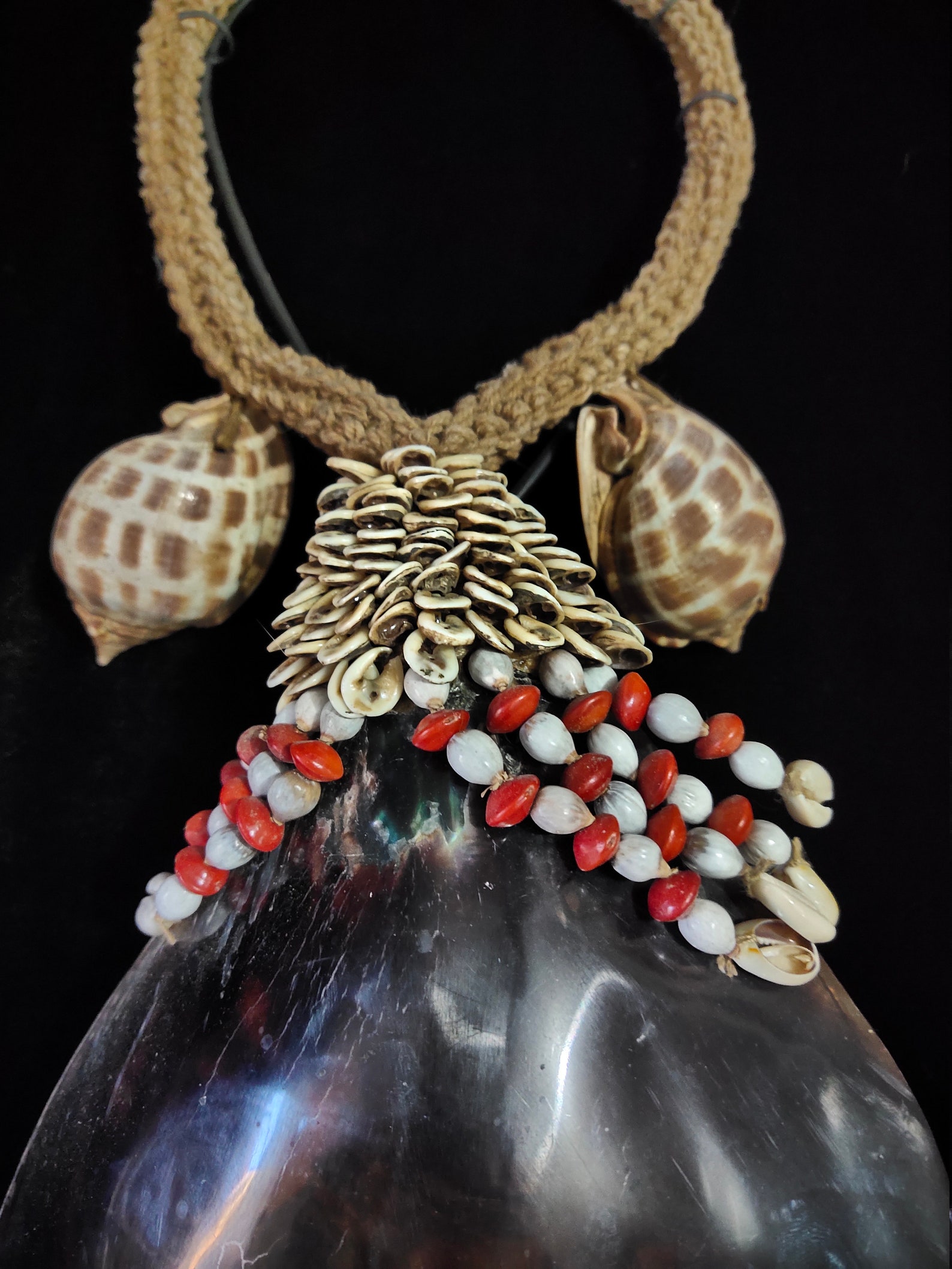 Sea Shell Necklace 19 Jewelry Tribal Women Fashion Ethnic Papua Natural ...