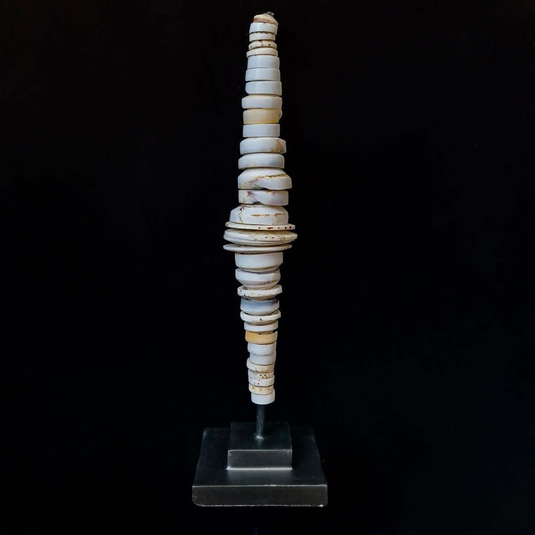 Tribal Conus Shell Lumi Money Currency 14.5", Papua Brides Wealth Money ...