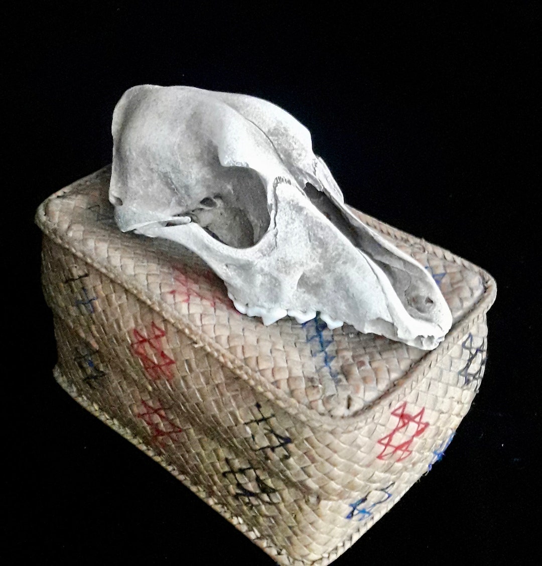 Shaman Skull Box Healing Tribe Unknown Primitive Collectable Art ...