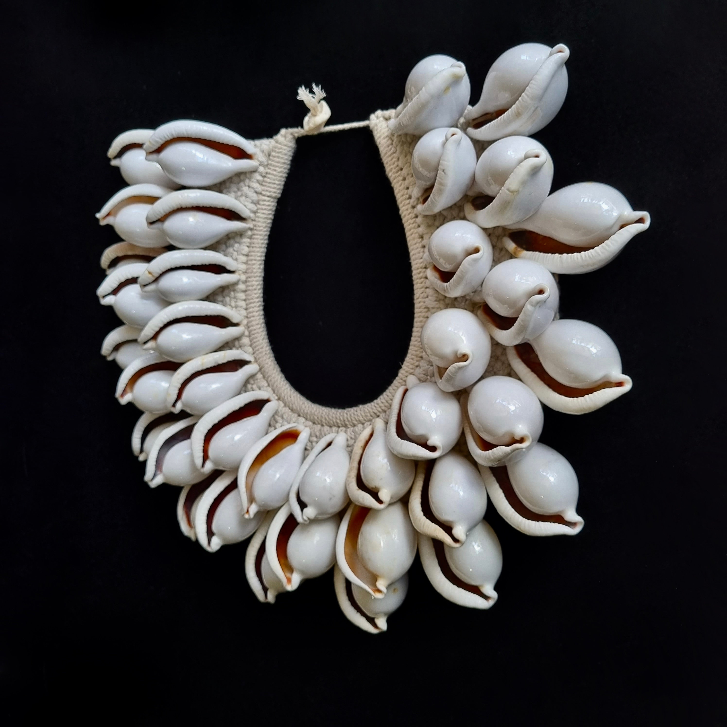 Large Ovula Ovum Shell Necklace, Goddess Collier Cowrie Necklace Womens ...