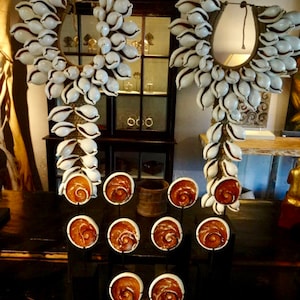 Large Ovula Ovum Shell Necklace, Goddess Collier Cowrie Necklace Womens ...