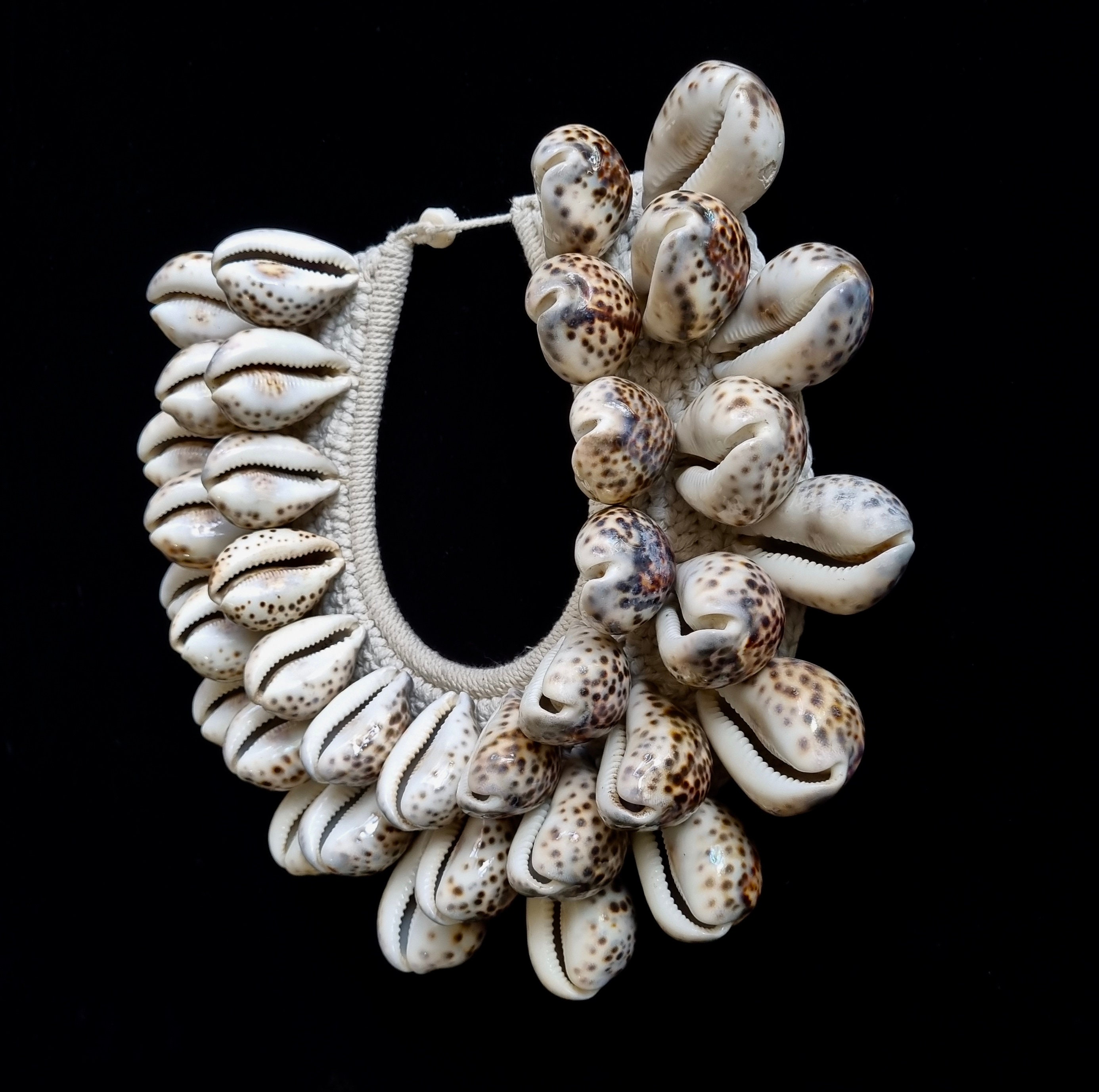 Spotted Cowrie Shell Necklace 14", Women Tribal Fashion Jewelry, Boho ...