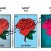 Canvas 8x10 La Rosa Loteria Card Stretched and Ready to - Etsy