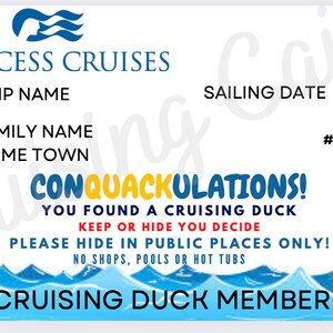 Customized Cruising Duck Tags: Princess Cruise Line - Etsy