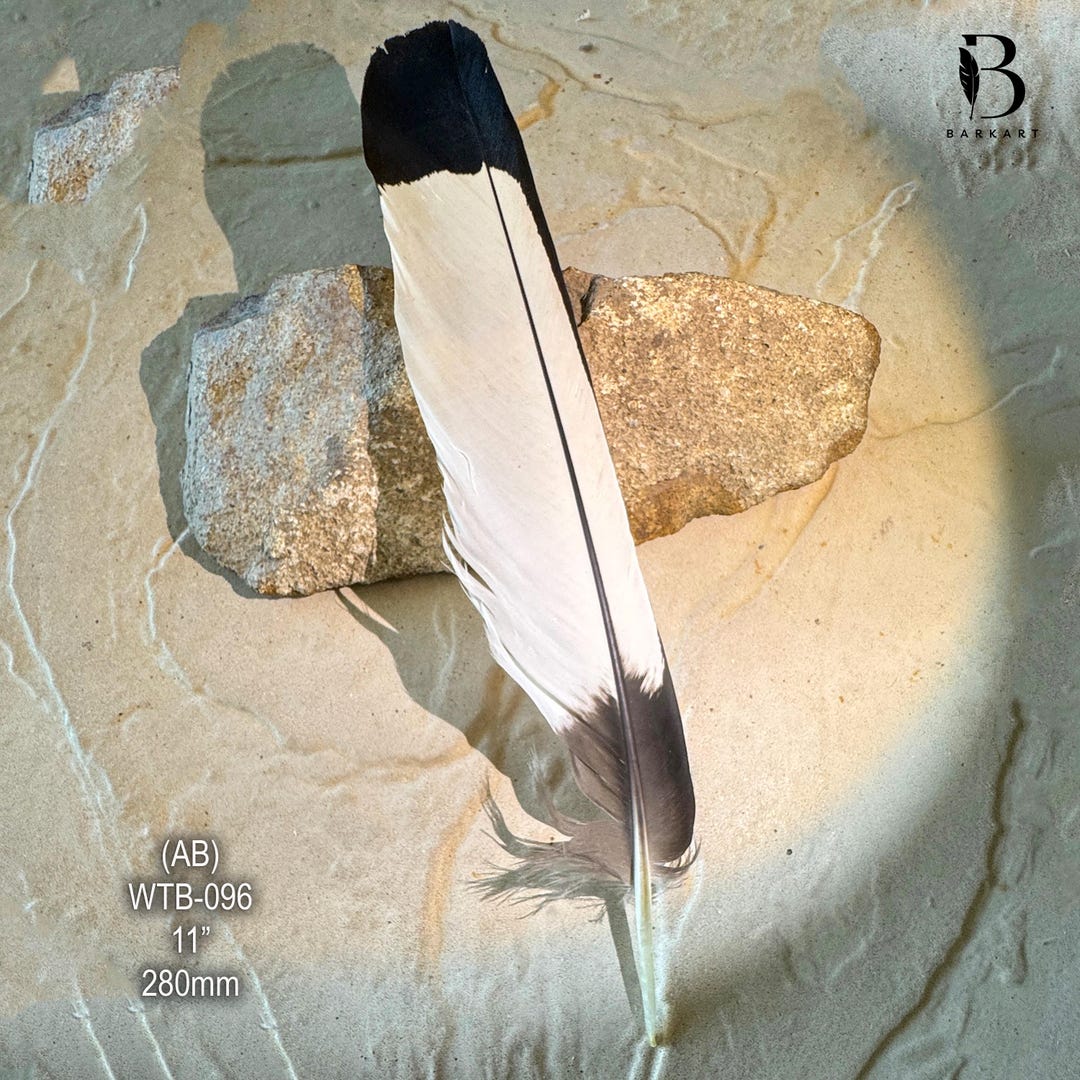 White-tailed Black Cockatoo TAIL Feather-rare Feathers, Boho, Feather ...