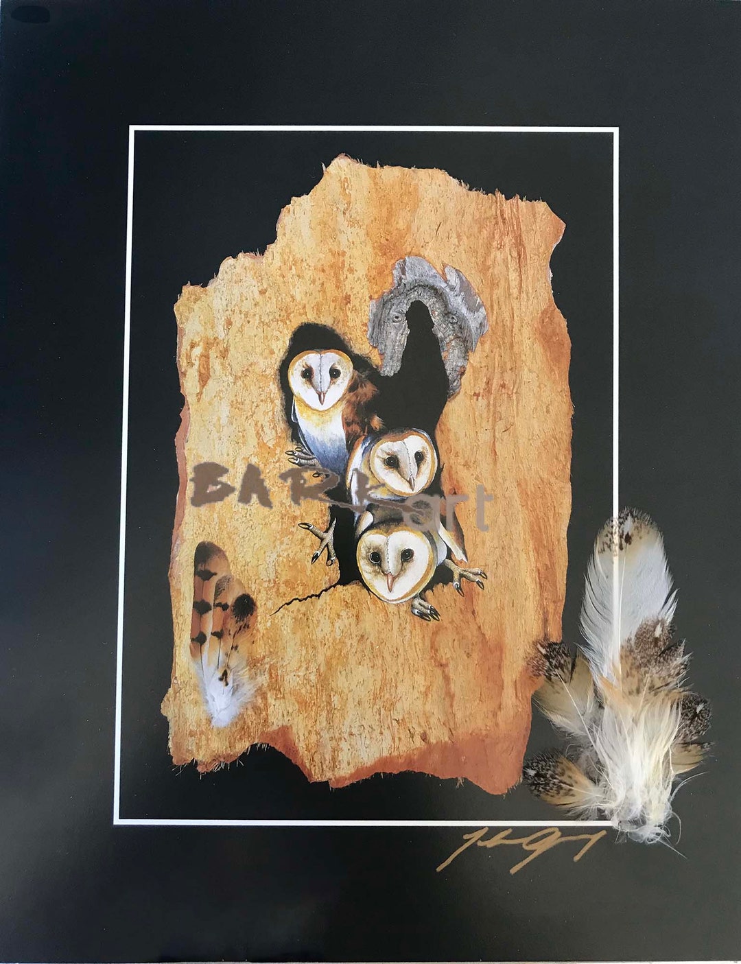 Australian Barn Owls signed by Artist Paperbark - Etsy