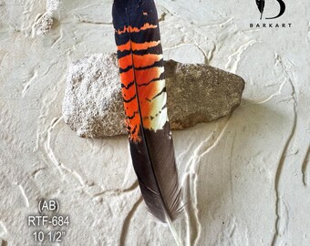 Kookaburra (kingfisher) CENTRE Tail Feather -rare Feather, Akubra ...