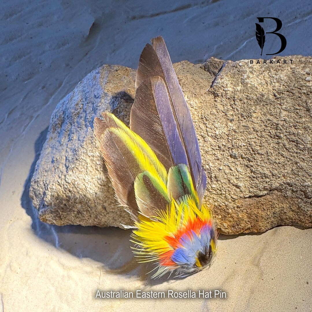 Australian Eastern Rosella Feather Hat Pin / Brooch / Lapel - Custom ...