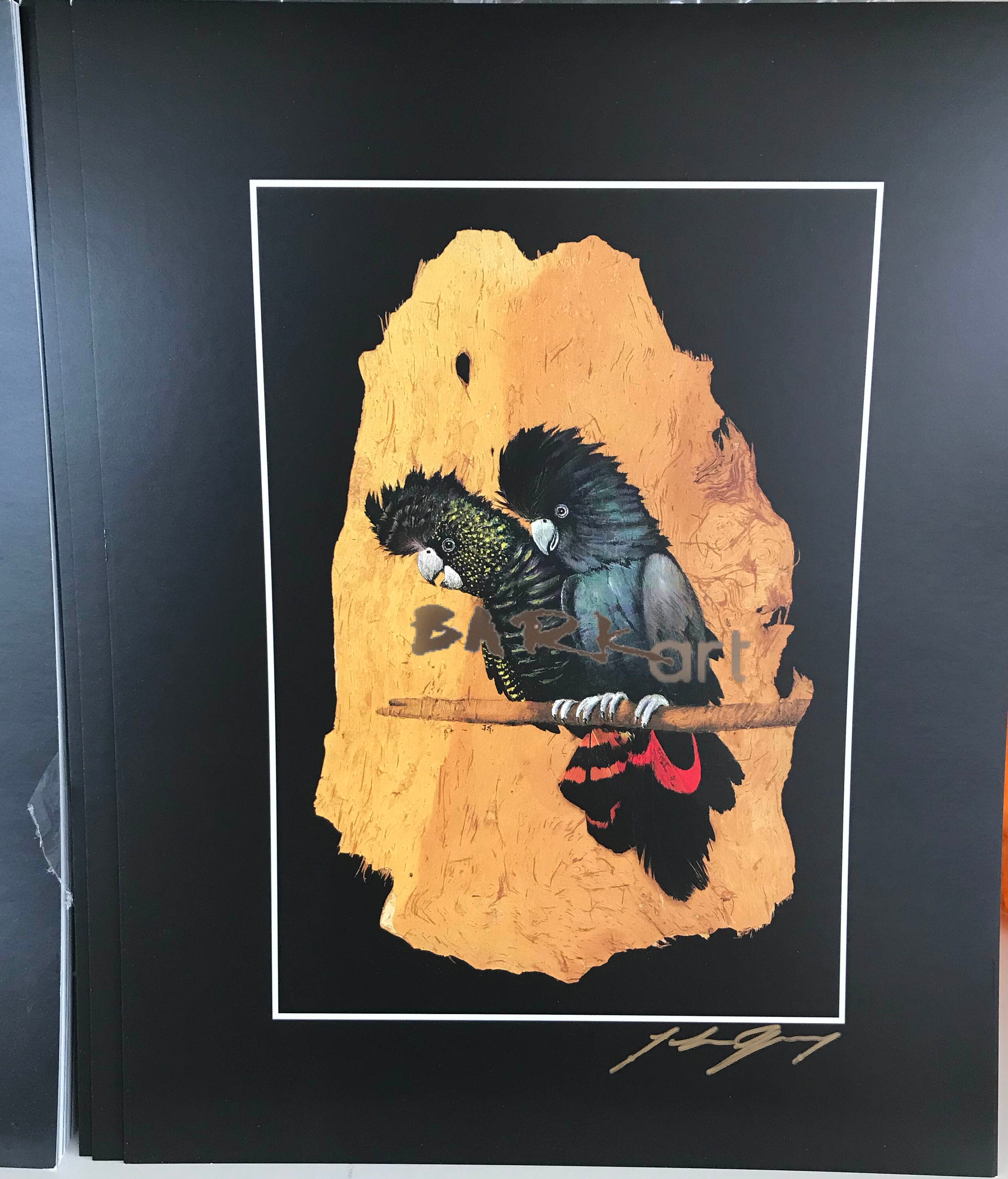Red Tailed Black Cockatoo signed by Artist Paperbark Art Print - Etsy ...