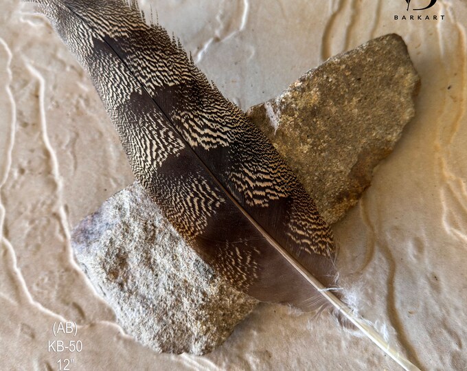 Extremely Rare KORI Bustard Shoulder Feather -salmon Flies, Rare ...