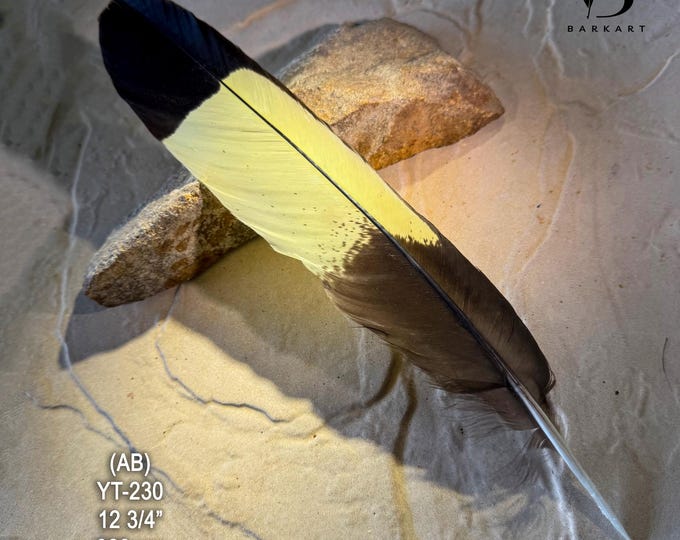 Yellow Tailed Black Cockatoo Tail Feather - Rare Feathers, Akbura Hat ...