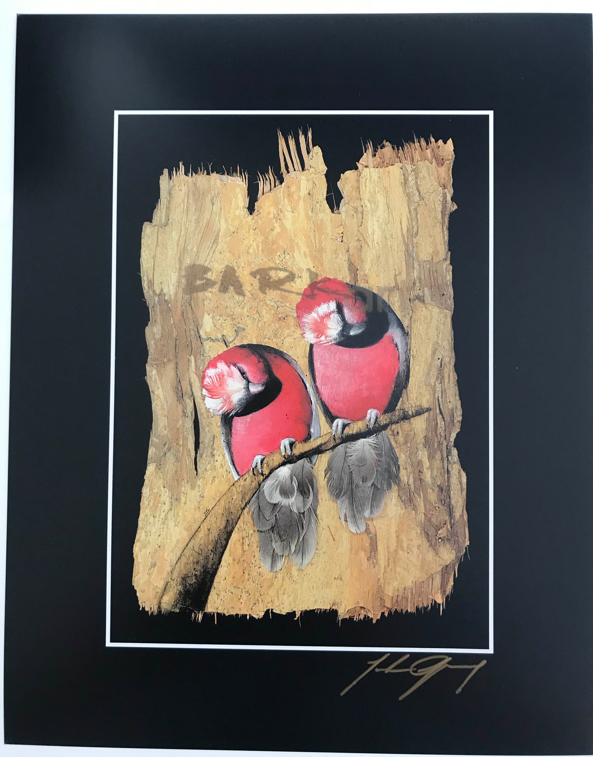 Australian Galah "signed by Artist" Paperbark Art Print - Etsy UK