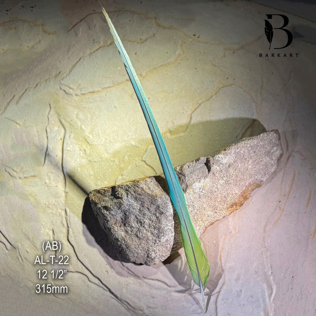 Alexandrine Parakeet Center Tail Feather- CHOOSE , Boho, Smudging ...