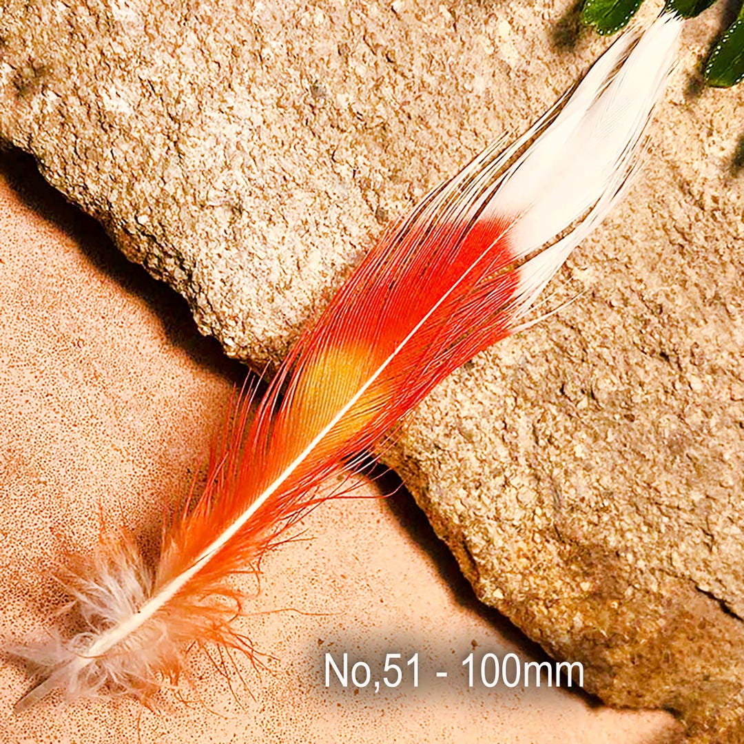 SALE Major Mitchell PINK Cockatoo CREST Feathers- Millinery, Flyfishing ...