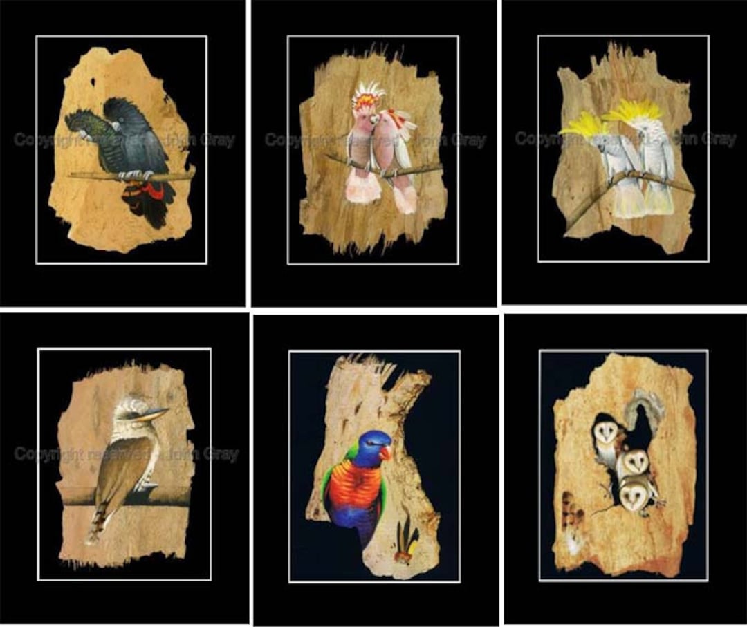 Set of 6 Stunning Bark Art Prints, Wildlife Paperbark Paintings ...