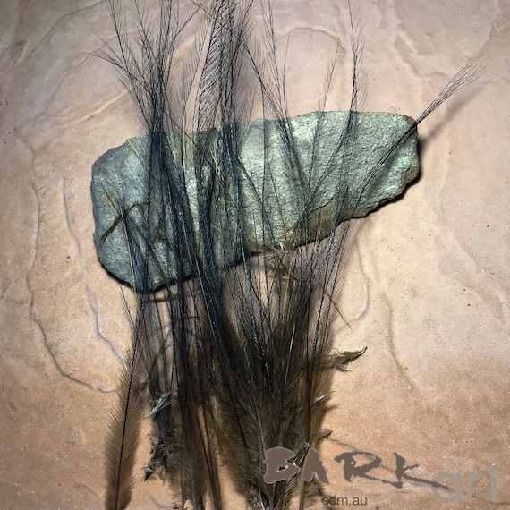 Cassowary Feathers X15 Rare Feathers Millinery Boho Fly - Etsy