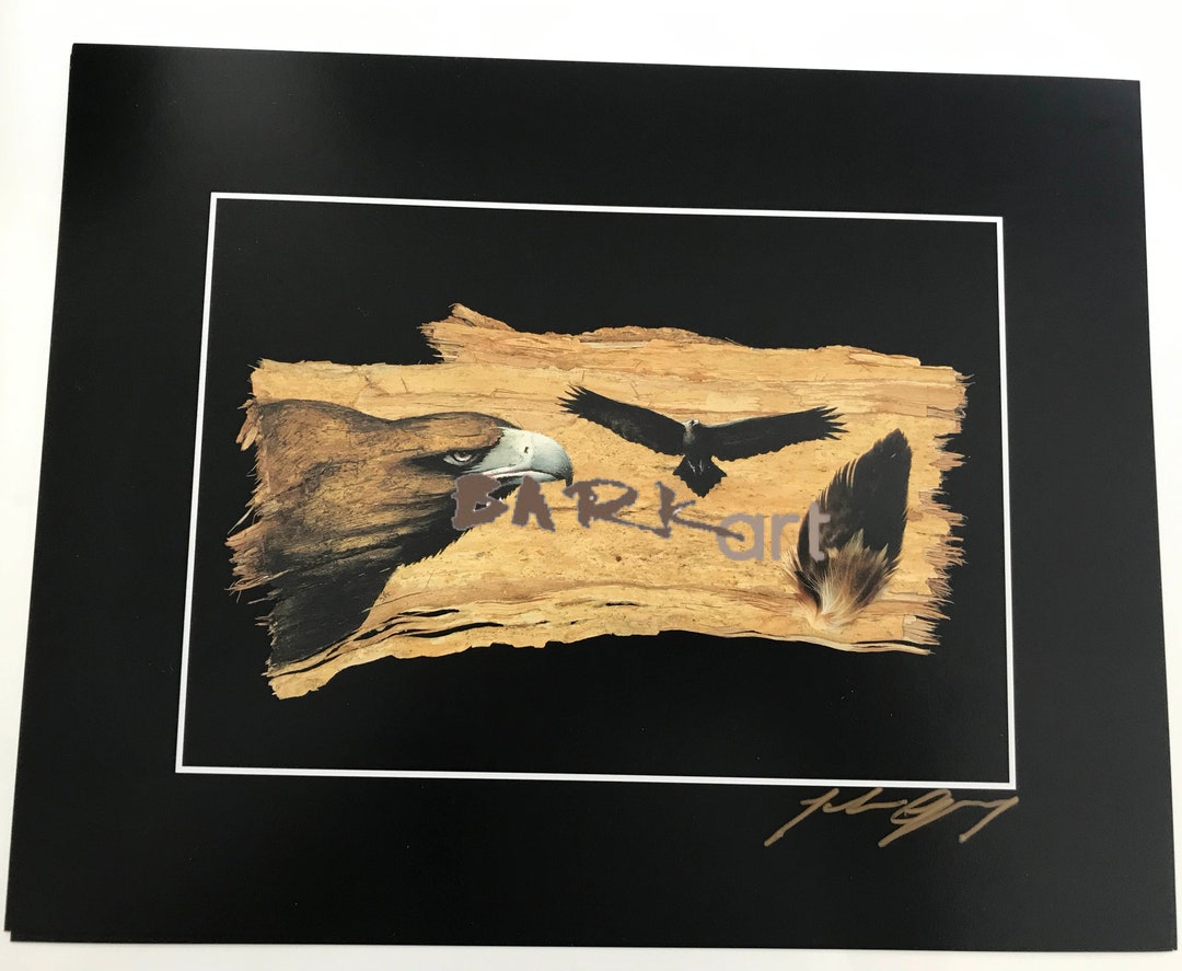 Wedged Tailed Eagle Print Signed Paperbark Art Print - Etsy España