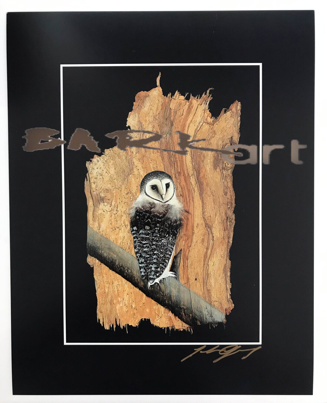 Australian Sooty Owl "signed by Artist" Paperbark Art Print - Etsy UK
