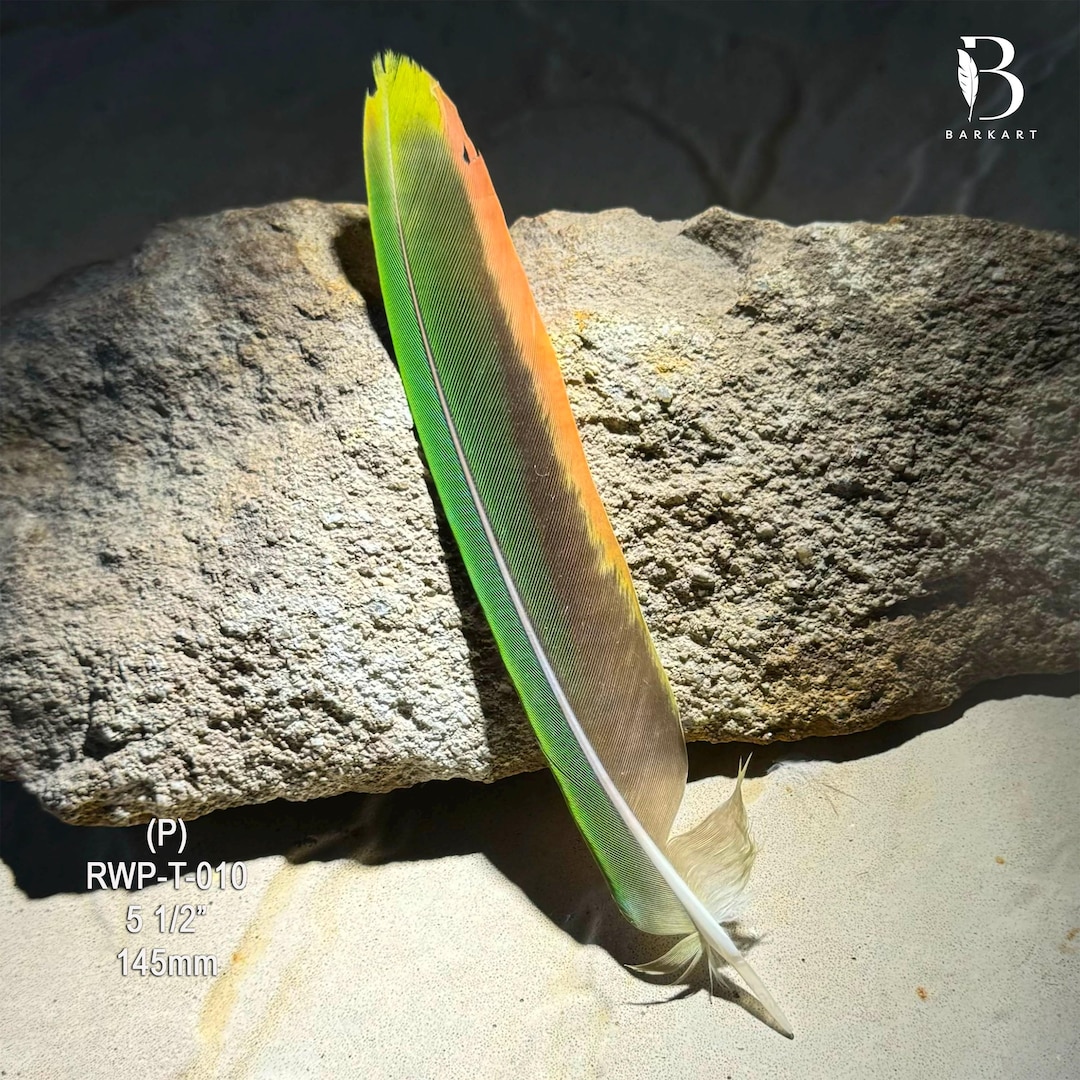 Red Winged Parrot Tail Feathers, Akubra, Fly Fishing. Jewellery ...