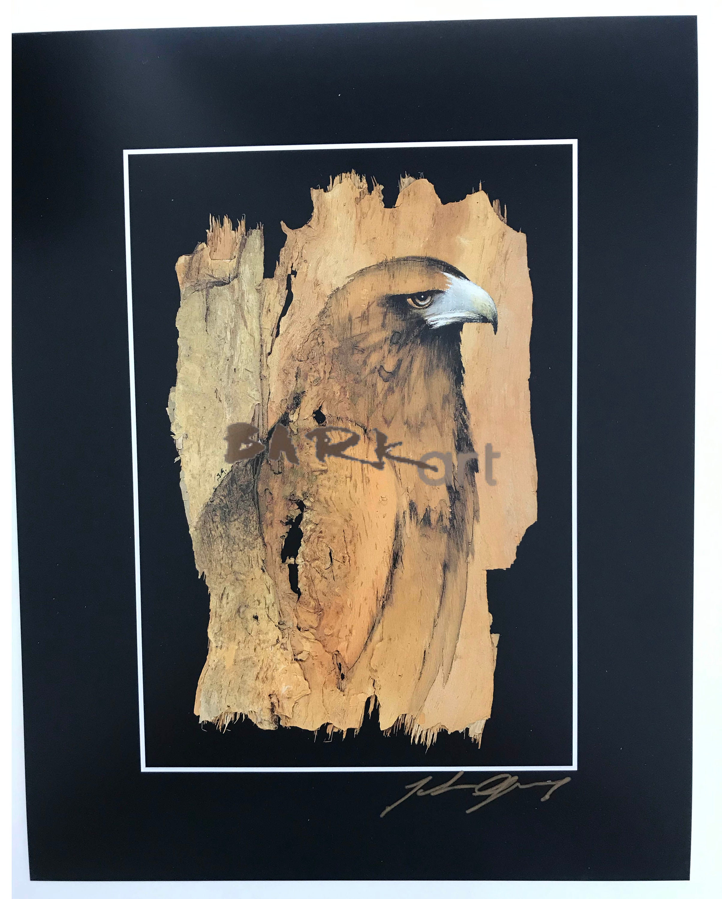 Wedged Tailed Eagle (profile) "signed by Artist" Paperbark Art Print ...