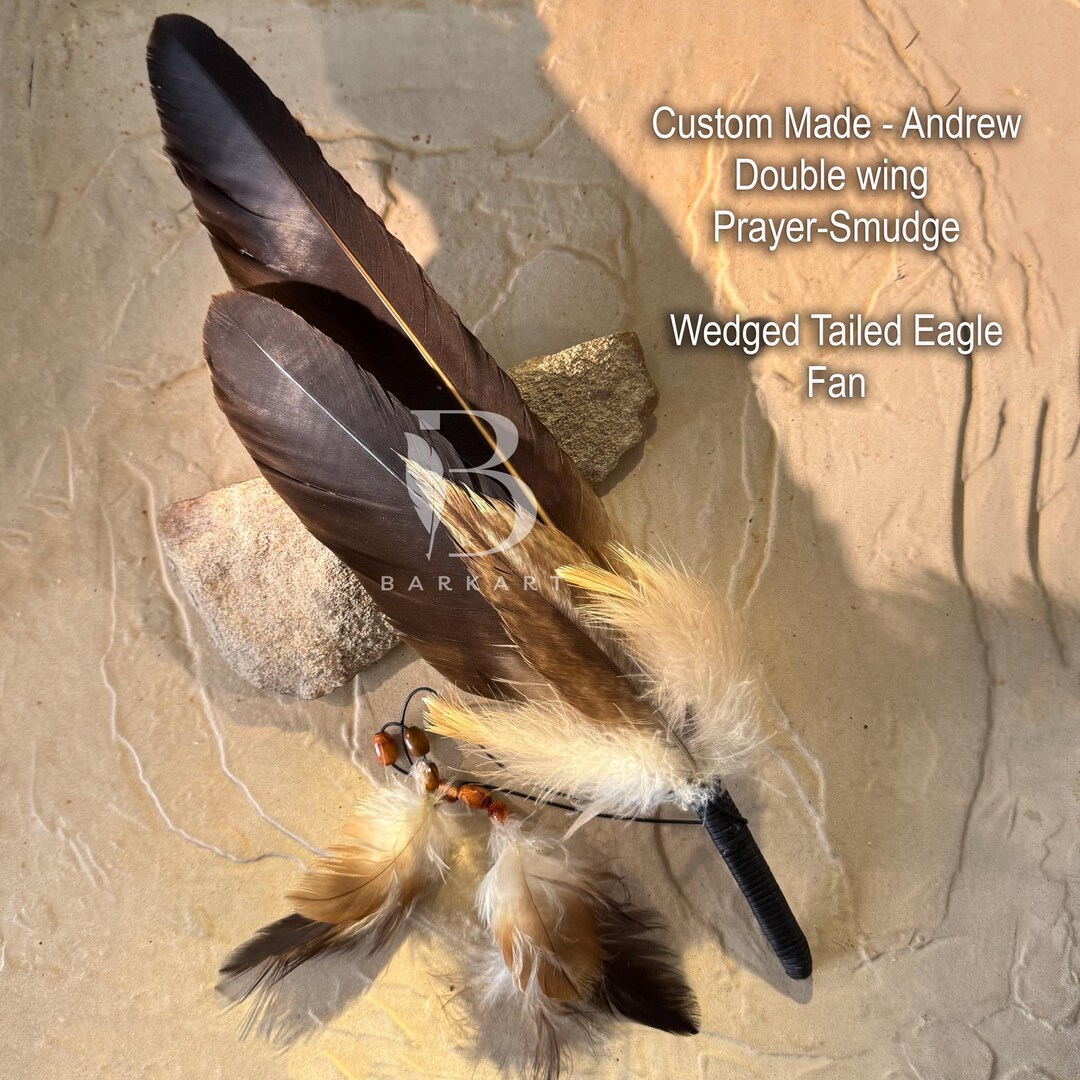EXCLUSIVE, UNIQUE STUNNING Genuine Double Wedged Tailed Eagle Wing ...