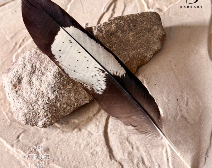 White-tailed Black Cockatoo TAIL Feather-rare Feathers, Boho, Feather ...