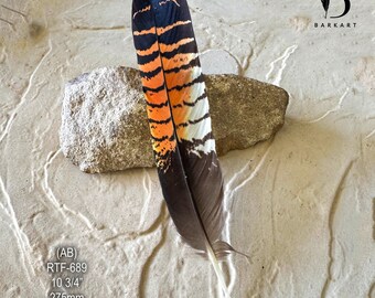 Yellow Tailed Black Cockatoo Tail Feather - Rare Feathers, Akbura Hat ...
