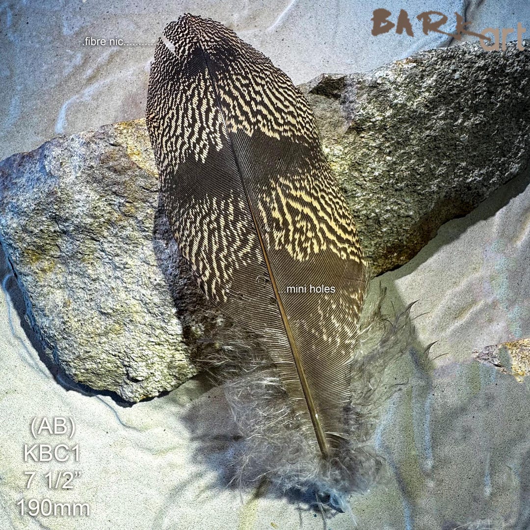 Rare Kori Bustard Feather – Salmon Flies, Akubra Hat, Flyfishing ...